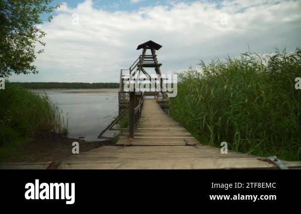 Birdwatching observation deck Stock Videos & Footage - HD and 4K Video ...