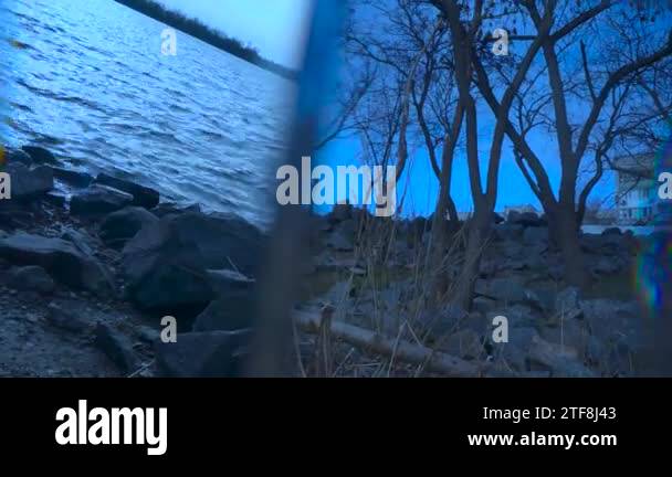 abstract video background from a collage on the theme of nature ...