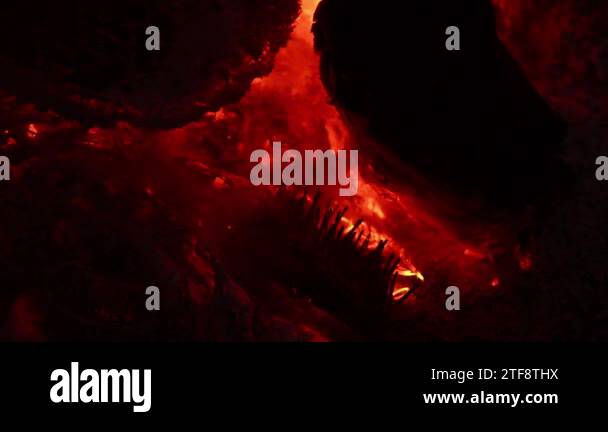 On smoldering coals padant spruce branch. A few seconds later, the branch bursts into flames ...