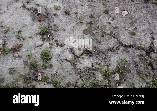 Frozen ground texture Stock Videos & Footage - HD and 4K Video Clips ...