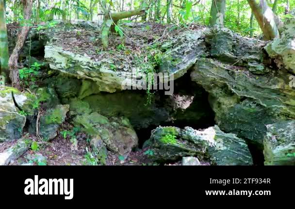 Mayan artifacts cave Stock Videos & Footage - HD and 4K Video Clips - Alamy