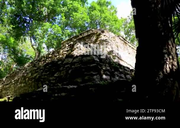 Tree roots grow through stones at the ancient Mayan site with temple ...