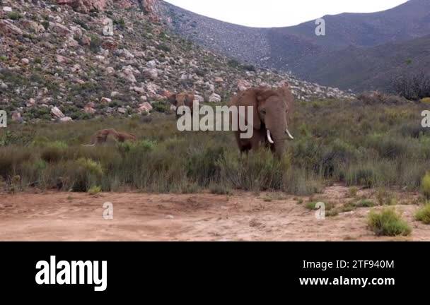 Hilly landscape in south africa Stock Videos & Footage - HD and 4K ...