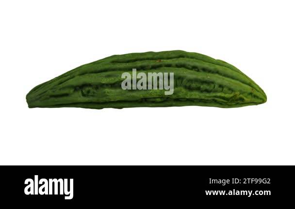 Realistic render of a rolling Bitter Melon (Bitter Gourd) on white ...