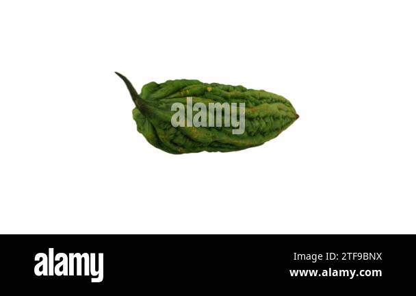 Realistic render of a spinning Bitter Melon (Bitter Gourd) on white ...