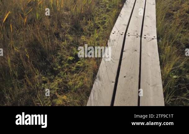 Wooden trails on nature reserve Stock Videos & Footage - HD and 4K ...