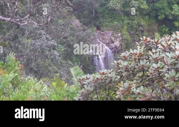 Alexandra mauritius Stock Videos & Footage - HD and 4K Video Clips - Alamy