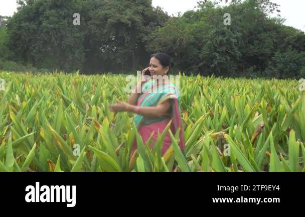 INDIA - CIRCA 2019: Middle aged woman in traditional clothes walking ...