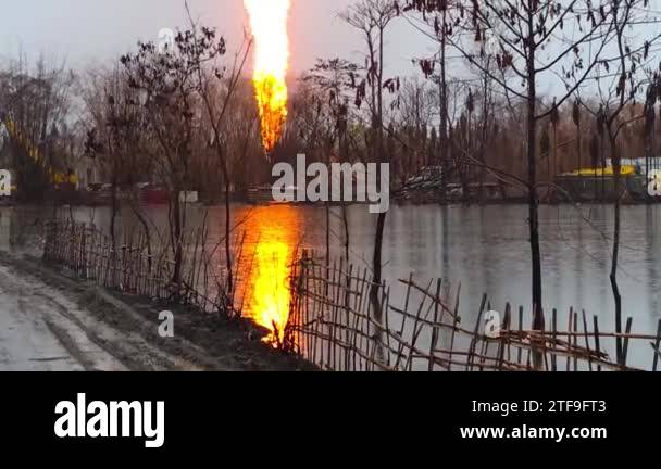 Fire ecology Stock Videos & Footage - HD and 4K Video Clips - Alamy