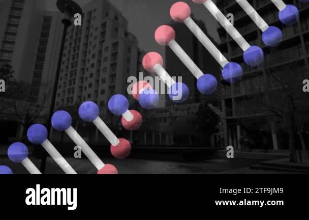 Animation of dna strand spinning over dna strand spinning dna model dna ... Animation of dna strand spinning over dna strand spinning dna model dna ...