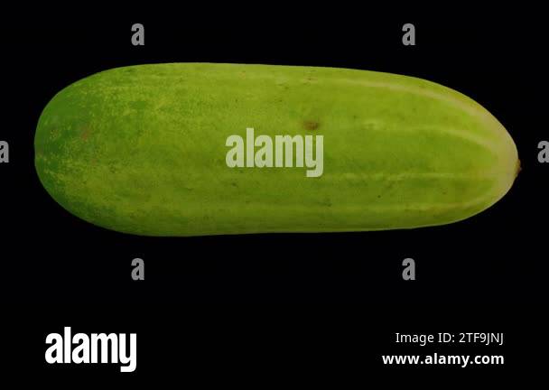 Realistic render of a rolling Emerald White Cucumber on transparent ...