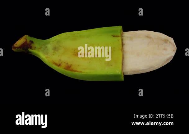 Realistic render of a rolling partially peeled Cooking Banana (Saba ...