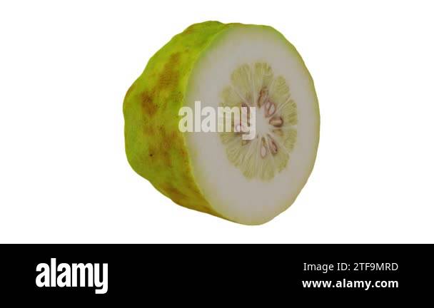 Realistic render of a rolling half Native Philippine Lemon on white ...