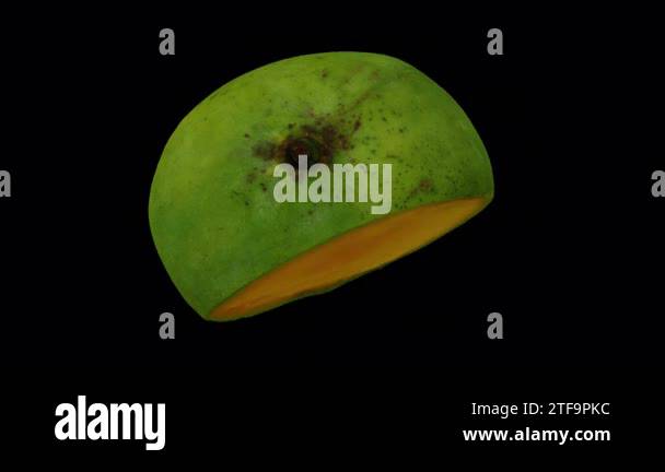 Realistic render of a rotating cut Philippine Green Mango (Katchamitha ...