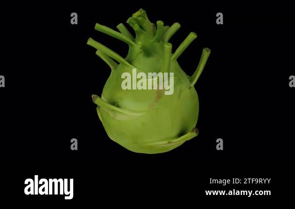 Realistic render of a spinning Kohlrabi (German Turnip) Bulb on ...