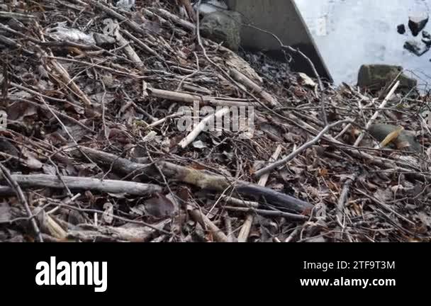 Culvert trash Stock Videos & Footage - HD and 4K Video Clips - Alamy