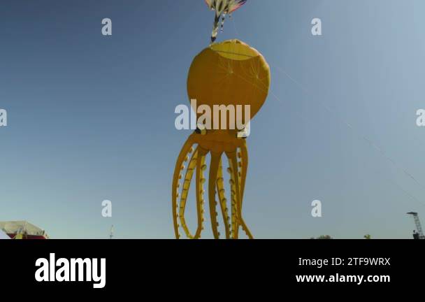 Flying octopus Stock Videos & Footage - HD and 4K Video Clips - Alamy
