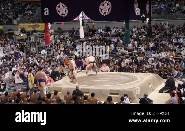 Sumo tournament in Japan. Sumo wrestlers fight. Sumo match Stock Video ...