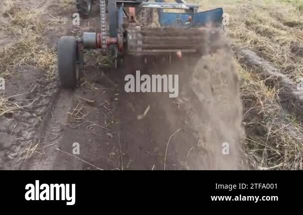 Tractor with potato harvester on field. view of potato harvester ...