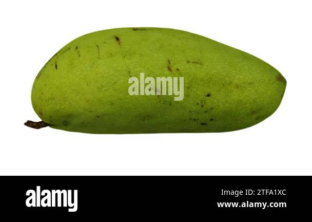 Realistic render of a rolling cut Green (Unripe) Ivory Mango on white ...
