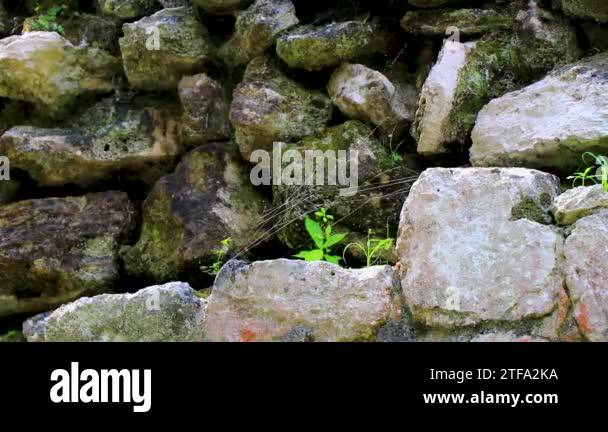 Beautiful spider web between rocks stones boulders and tropical plants ...