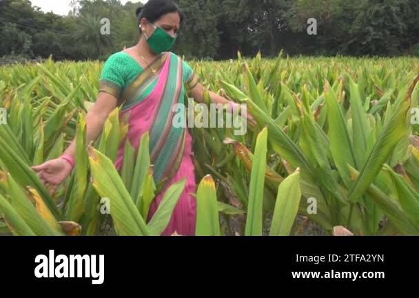 INDIA - CIRCA 2019: Middle aged woman in traditional clothes walking ...