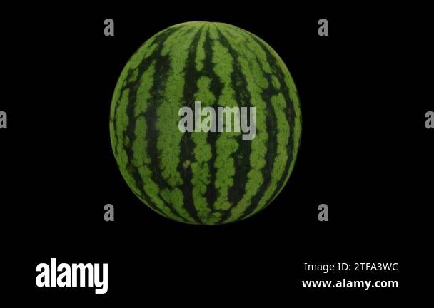 Realistic render of a spinning cut Watermelon on black background. The ...