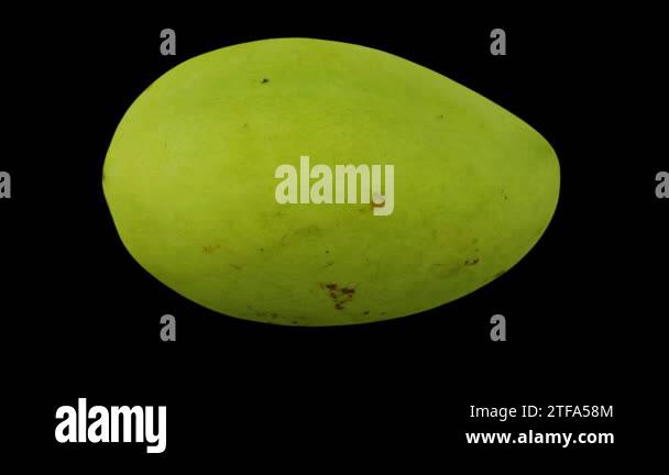 Realistic render of a rolling White Apple Mango (from Philippines) on ...