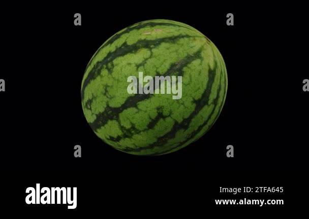 Realistic render of a rotating Watermelon on transparent background ...
