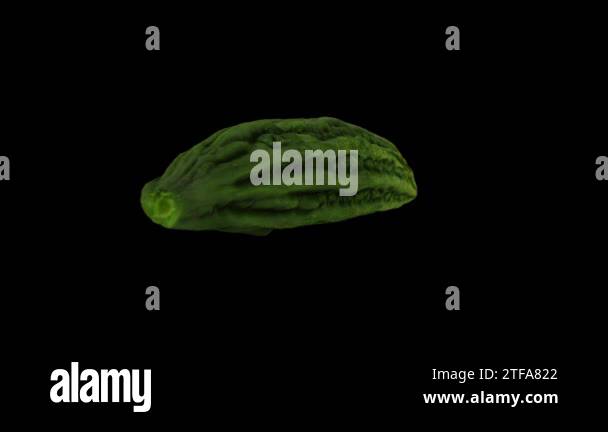 Realistic render of a spinning Bitter Melon (Bitter Gourd) on black ...