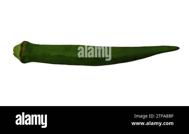 Realistic render of a rolling Okra (Okro,Ochro) Pod on white background ...