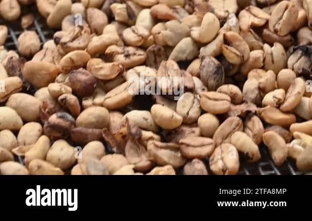 Drying kernel Stock Videos & Footage - HD and 4K Video Clips - Alamy