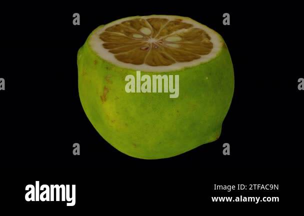 Realistic render of a spinning cut Native Philippine Orange on ...