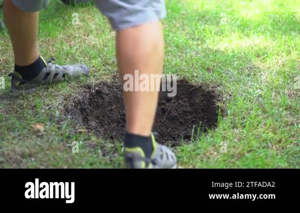 Close-up of a young man planting an oak tree while working in the ...
