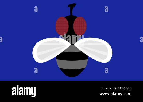 Chroma key wing Stock Videos & Footage - HD and 4K Video Clips - Alamy