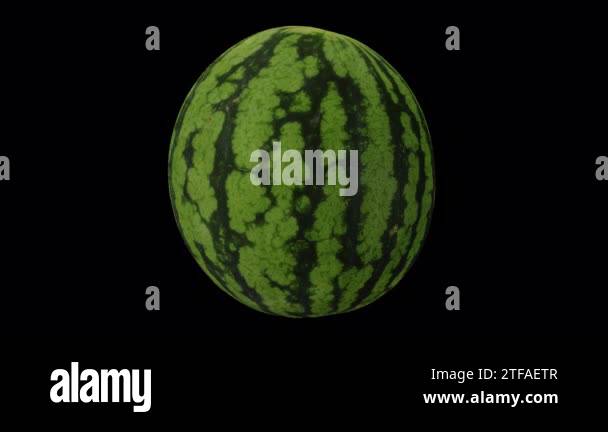 Realistic render of a spinning Watermelon on transparent background ...