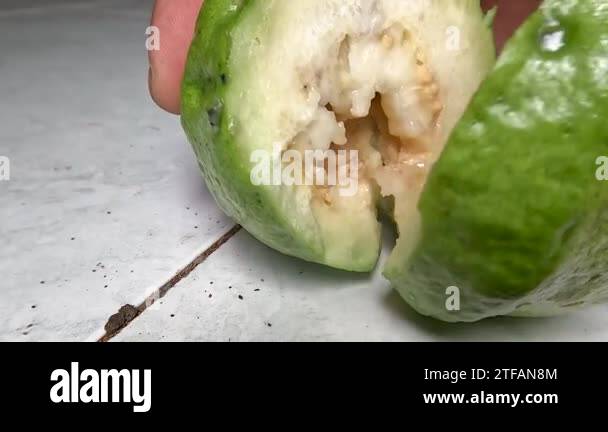 Crystal guava, which looks fresh on the outside, turns out to be ...