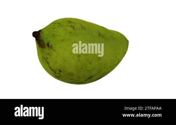 Realistic render of a rotating Green (Unripe) Ivory Mango on white ...