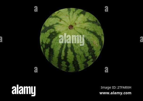 Realistic render of a rolling Watermelon on black background. The video ...