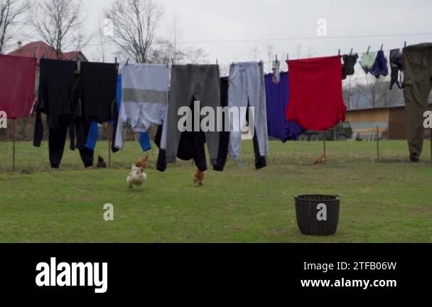 House yard washing line Stock Videos & Footage - HD and 4K Video Clips ...