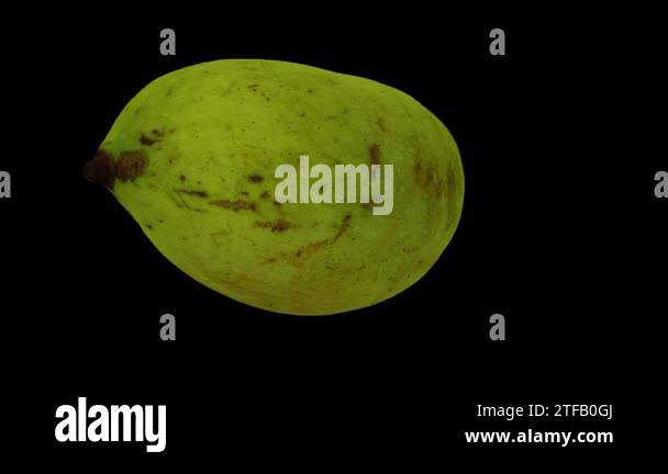Realistic render of a spinning Green (Unripe) Ivory Mango on ...