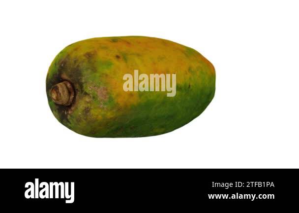 Realistic render of a spinning Ripe Papaya (Red Lady variety) on white ...