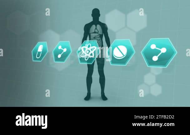 Human model medical Stock Videos & Footage - HD and 4K Video Clips - Alamy