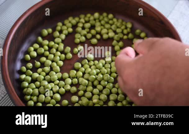 Men's hands break the pods with green peas and throw the fruits into a ...