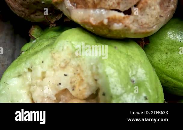 A pile of crystal guava that is rotten due to fruit fly attacks, the ...