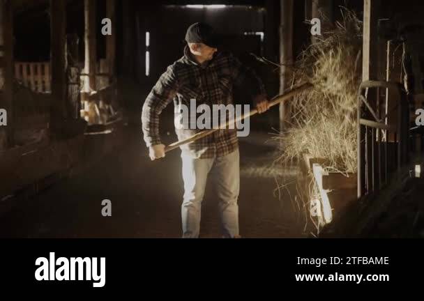 Cinematic shot of male farmer working in the barn full of haystacks ...