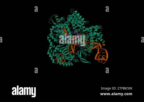 Structure Of Streptococcus Pyogenes Cas9 In Complex With Guide Rna