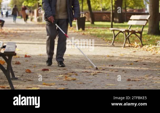 Senior park walking stick Stock Videos & Footage - HD and 4K Video ...