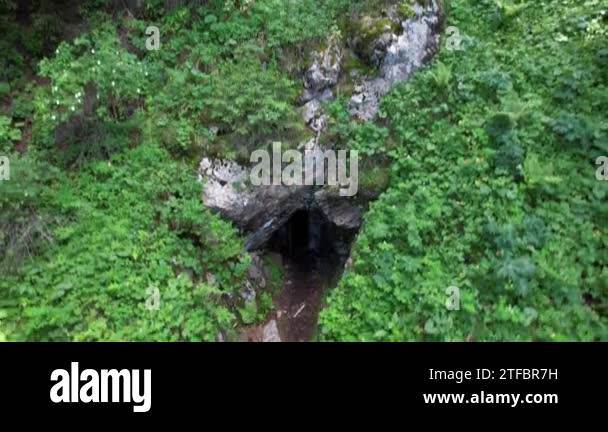 Hidden entrance to the cave among green grass and bushes. Mountainous ...