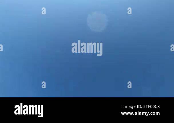 Hand sticking out water Stock Videos & Footage - HD and 4K Video Clips ...